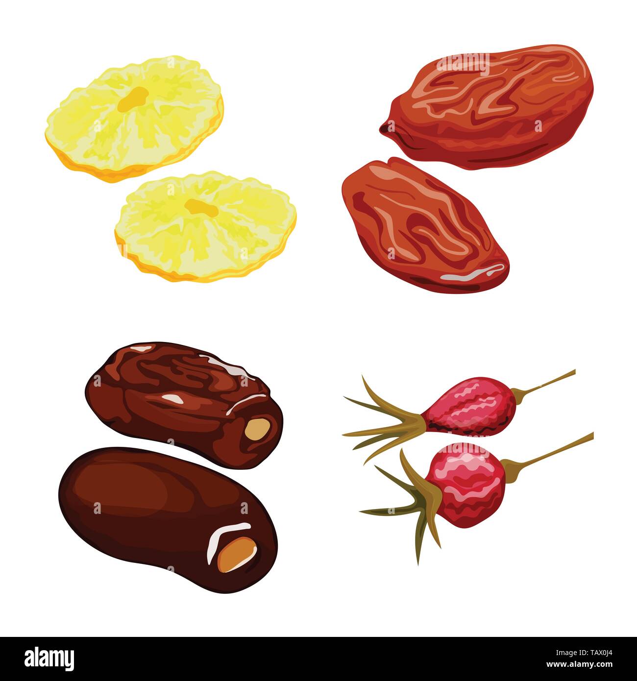 Vector illustration of fruit and dried logo. Collection of fruit and ...