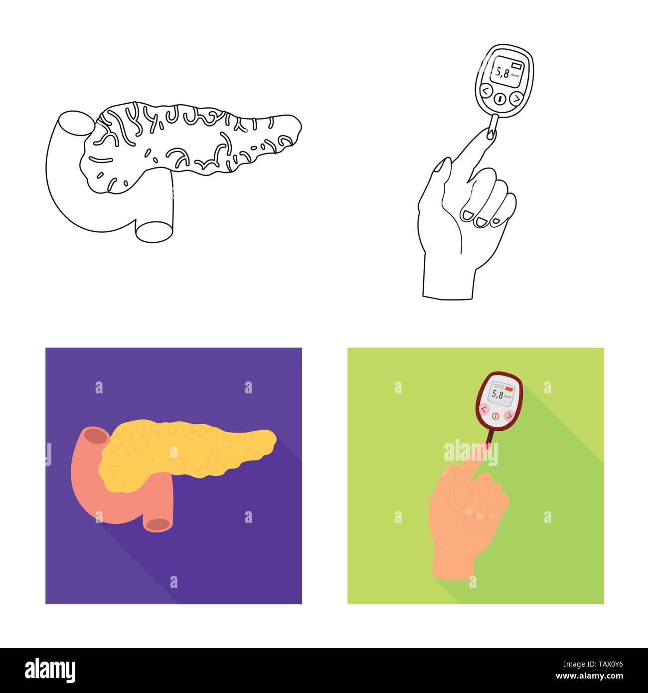 pancreas,glucometer,organ,measuring,anatomy,level,diagram,sugar,human ...