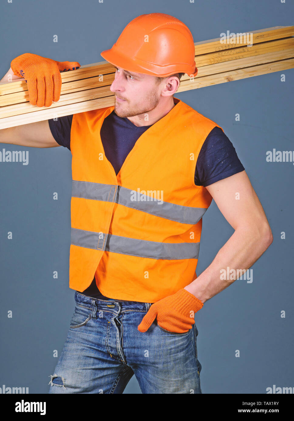 Hardy labourer concept. Carpenter, woodworker, labourer, builder on ...