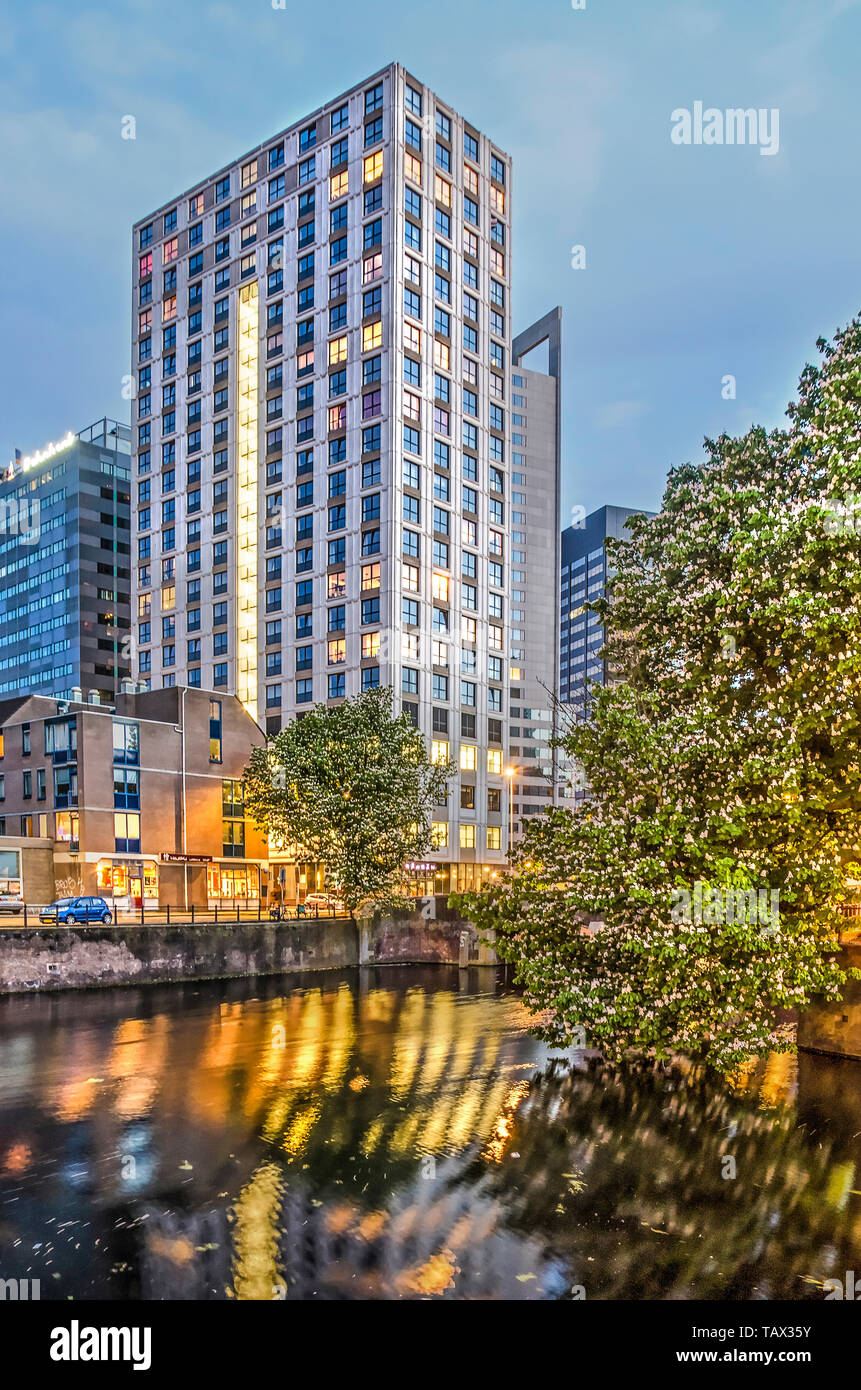 Rotterdam, The Netherlands, May 15, 2019: a large chestnut tree and the ...