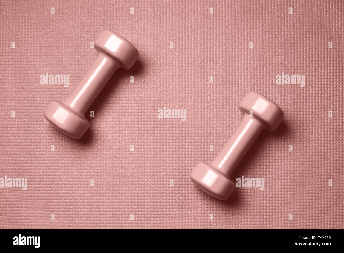 Mellow rose color dumbbells on the mat flat lay. Empty space in the ...