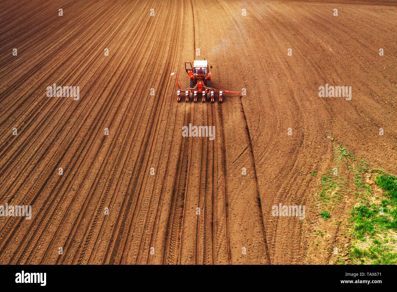 Aerial view of tractor with mounted seeder performing direct seeding of ...
