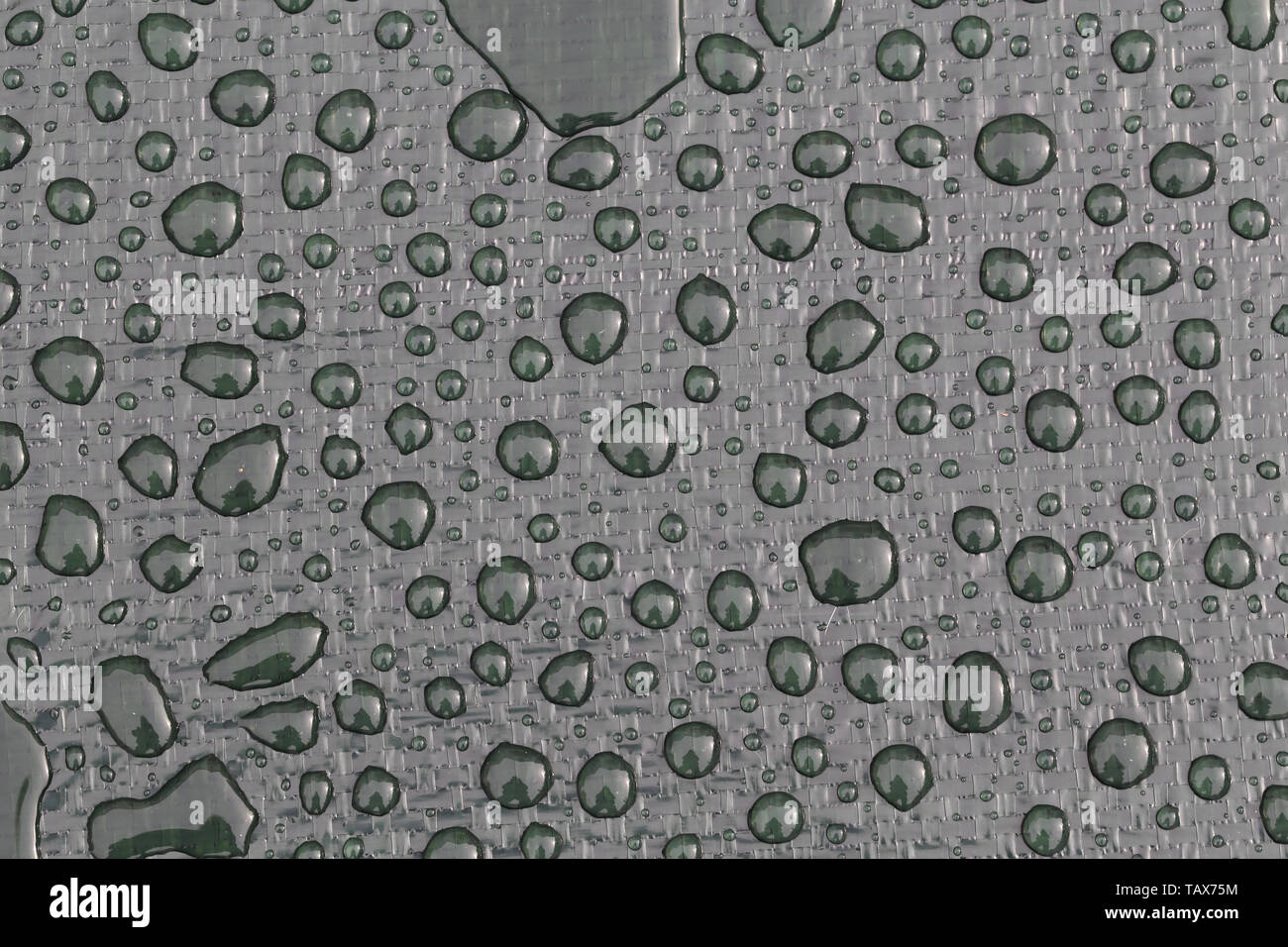 Large drops of water on the plastic film after the rain Stock Photo - Alamy