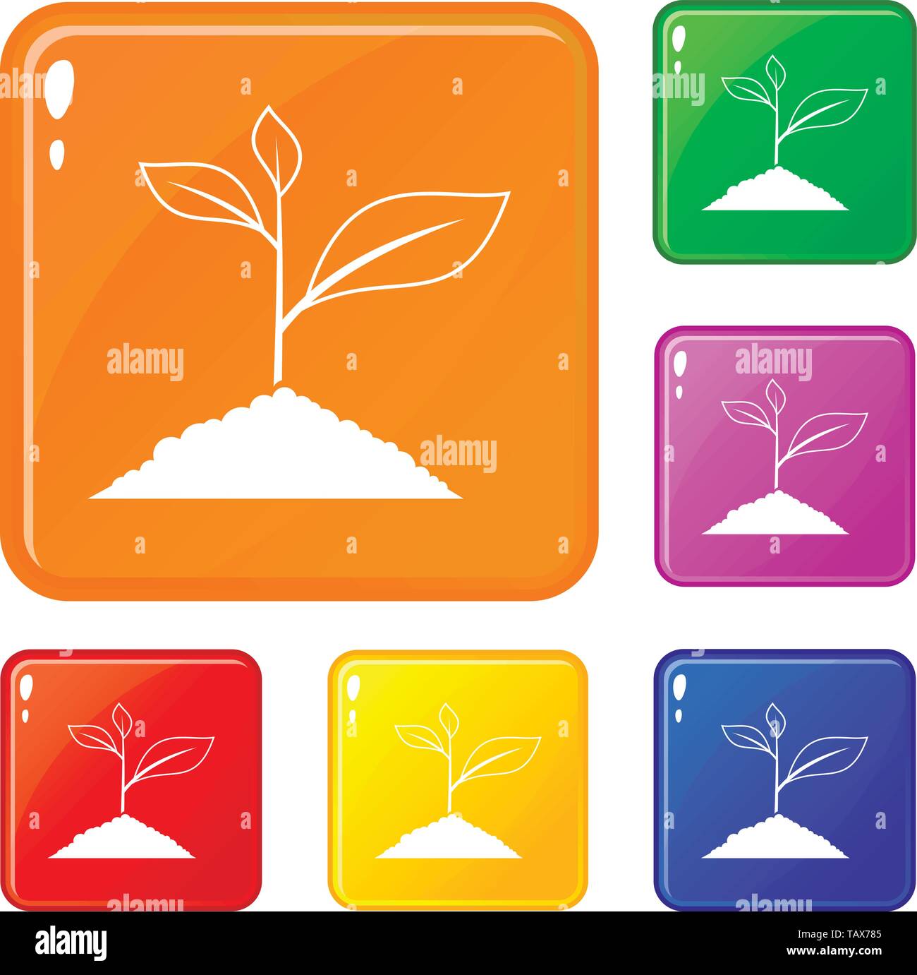 Experiment Garden Stock Vector Images - Alamy