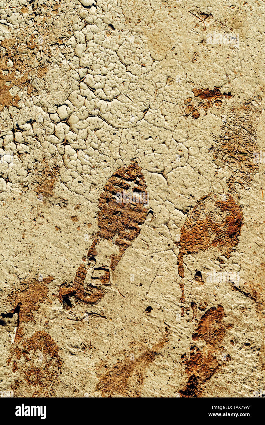Human shoeprint or footprint on dry mudcrack ground surface Stock Photo ...