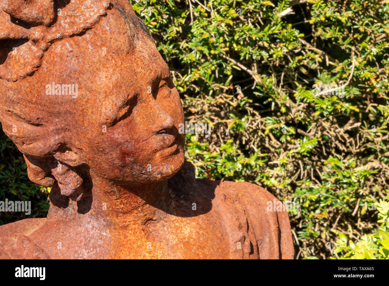 Image lifelike hi-res stock photography and images - Alamy