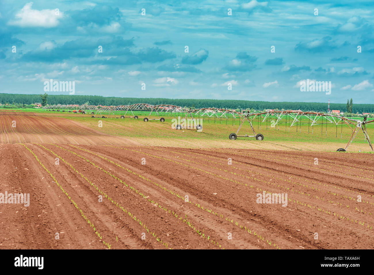 Pivot irrigation system in cultivated soybean and corn field ...