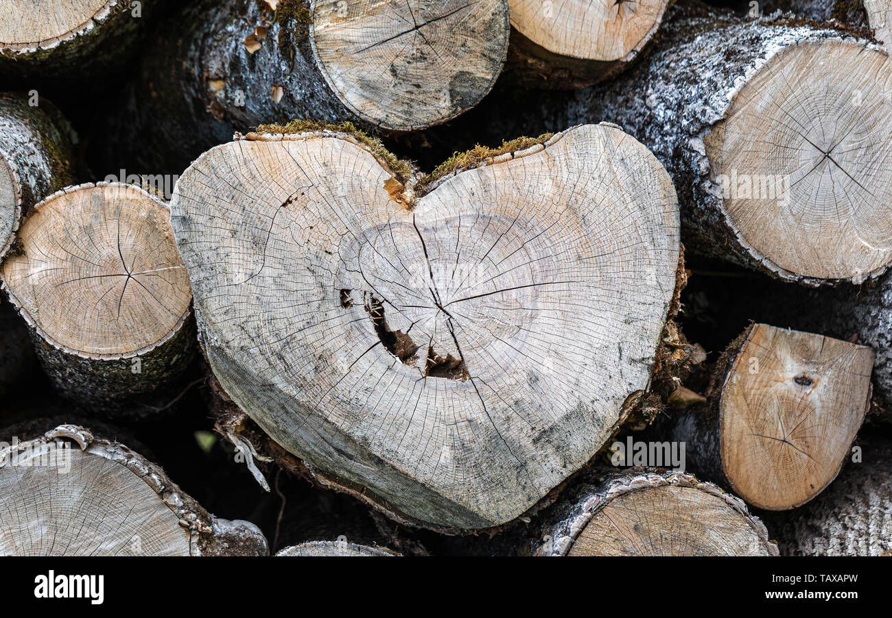 Deforestation, log deck, pile of wood. Heart shape Stock Photo - Alamy