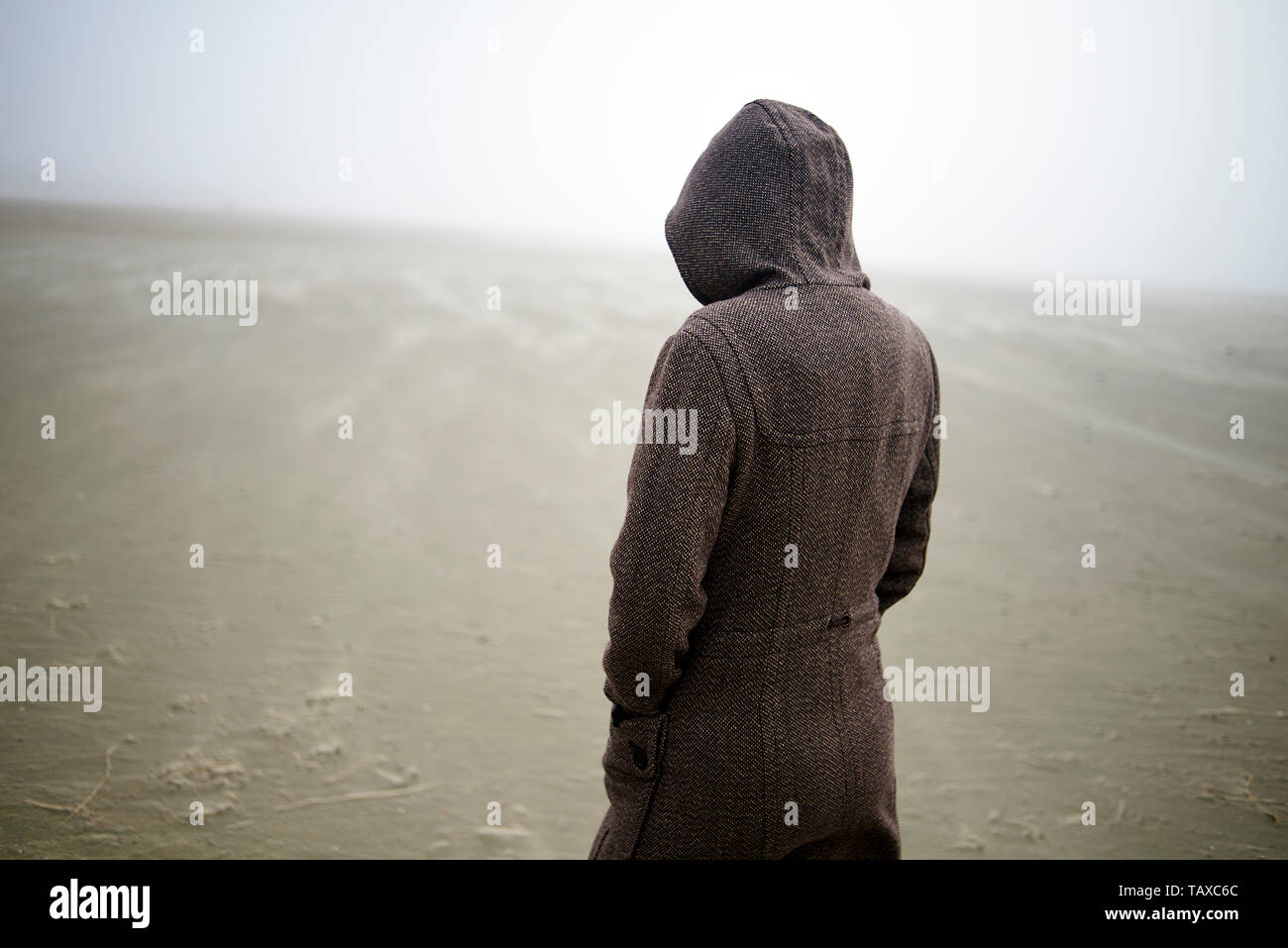 A woman wearing a hood in a barren cold empty landscape braving zub ...