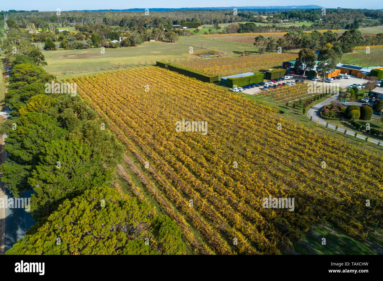 Mornington peninsula vineyard australia hi-res stock photography and ...
