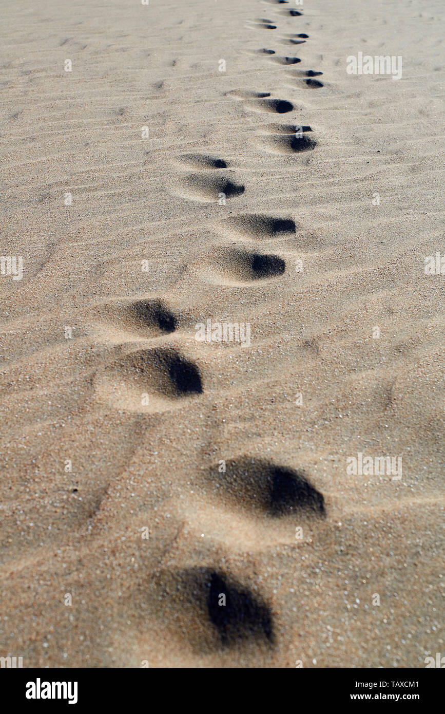 Walking on a path in the sand dunes hi-res stock photography and images ...