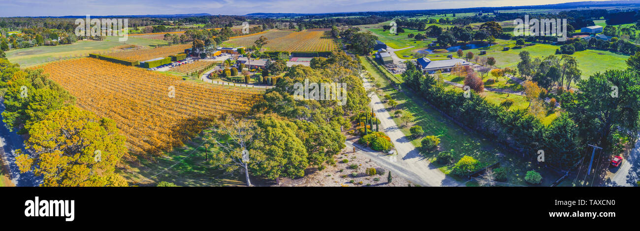 Wide aerial panorama of scenic vineyard and surrounding countryside ...