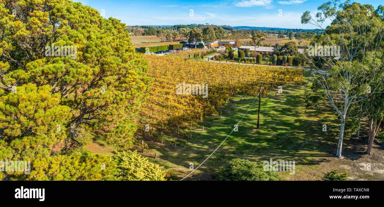 Stumpy gully hi-res stock photography and images - Alamy