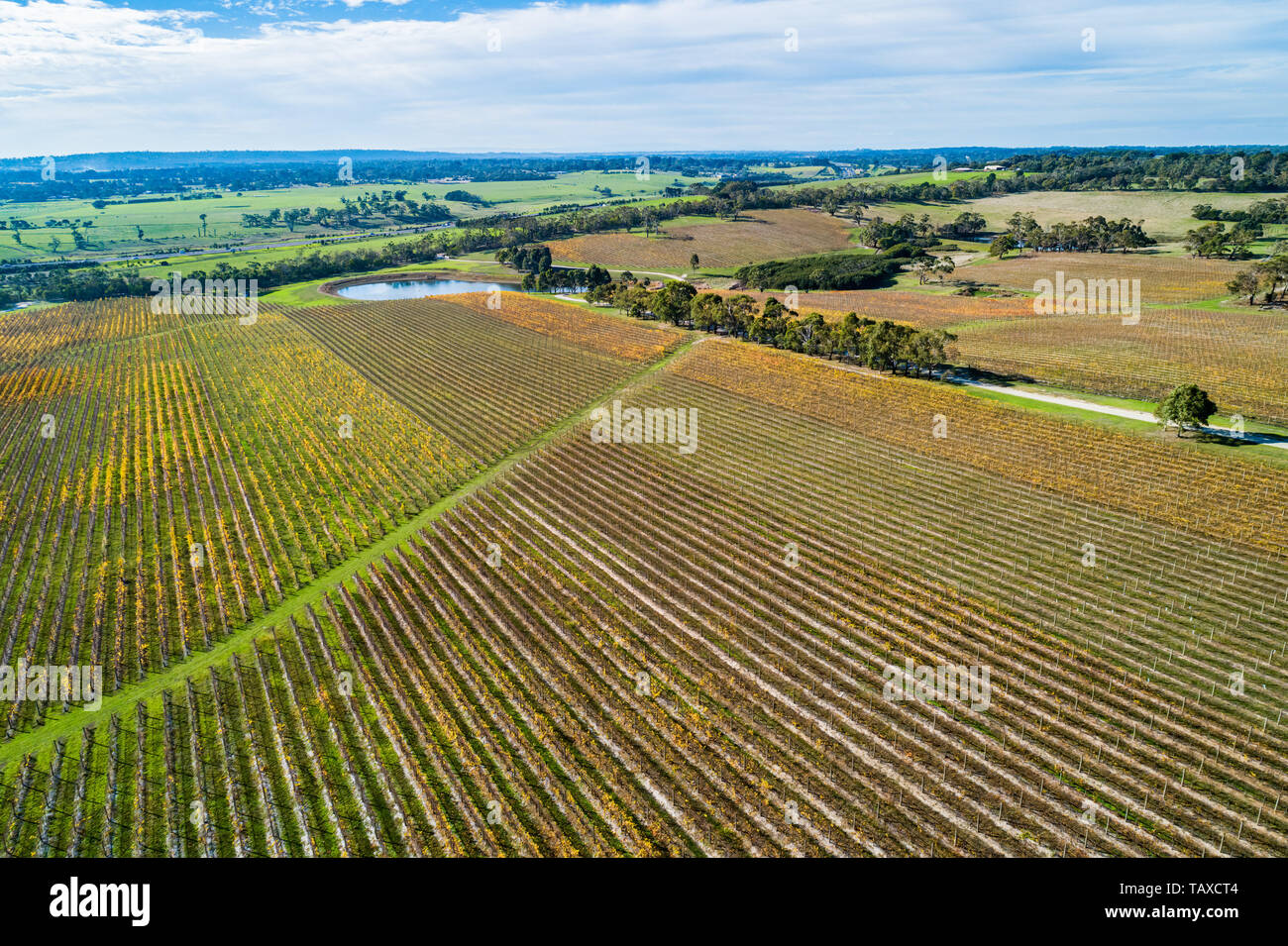 Mornington Peninsula Vineyard High Resolution Stock Photography and ...