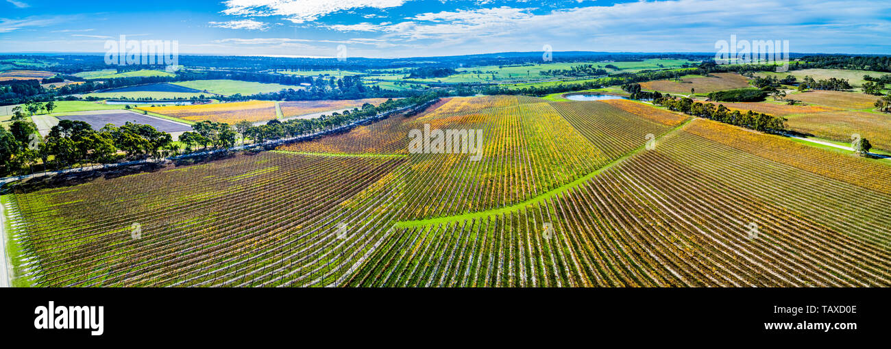 Mornington Peninsula Vineyard High Resolution Stock Photography and ...