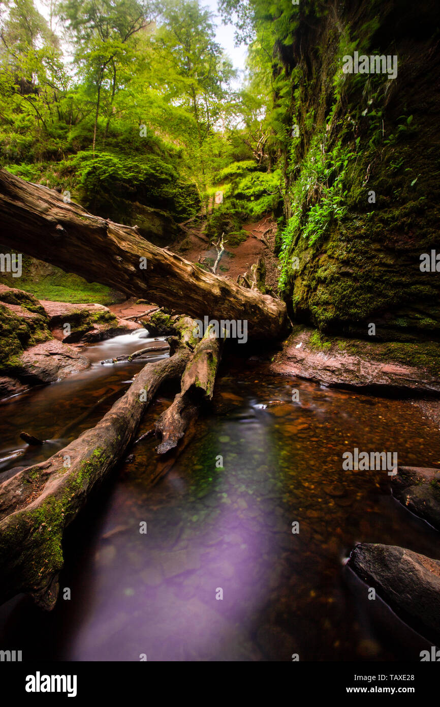 Devils Pulpit Glasgow Scotland Stock Photo - Alamy