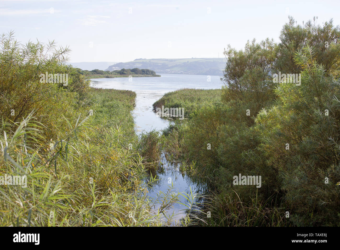 Slapton Ley Nature Reserve High Resolution Stock Photography and Images ...