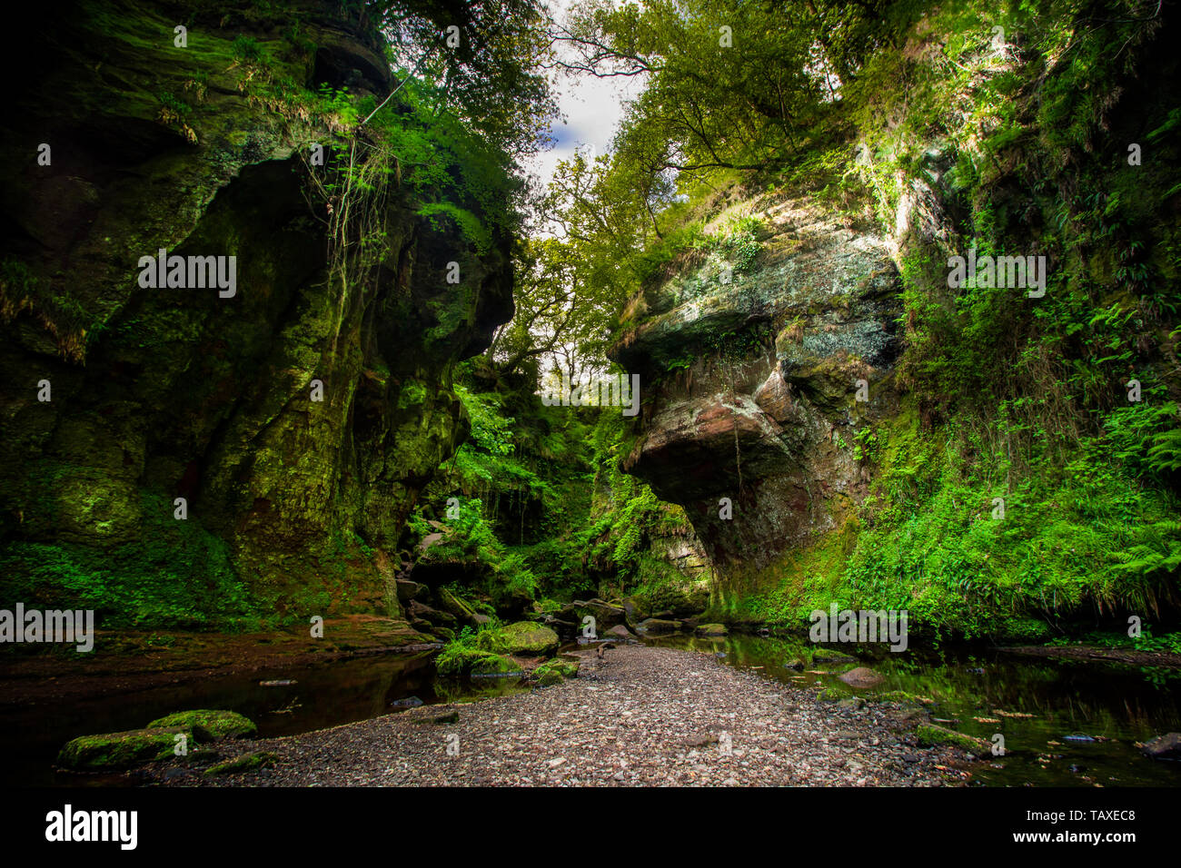 Devils Pulpit Glasgow Scotland Stock Photo - Alamy