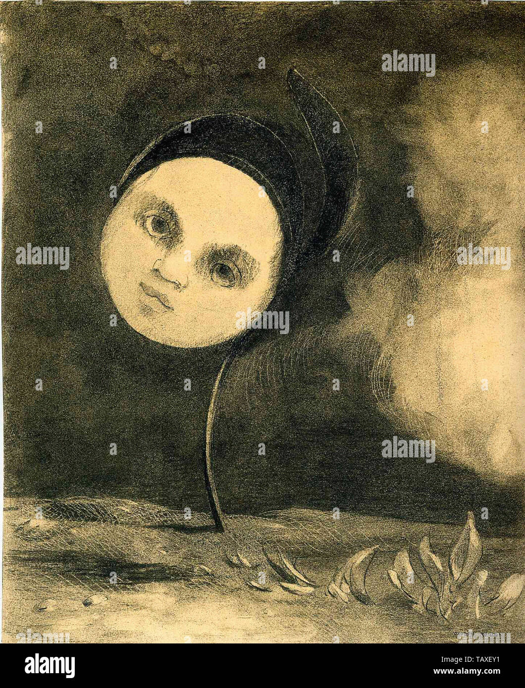 Odilon Redon - Head Stem Stock Photo - Alamy