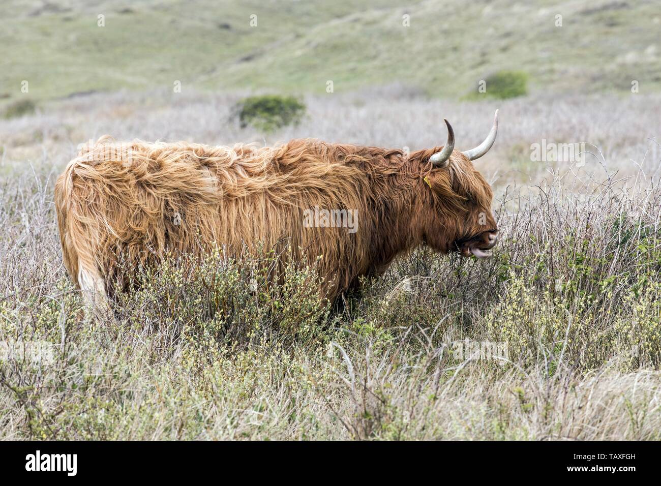 Galloways view hi-res stock photography and images - Alamy