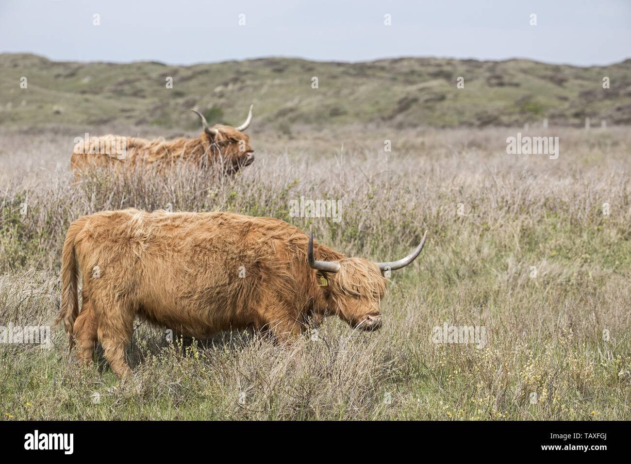 Galloway's view hi-res stock photography and images - Alamy