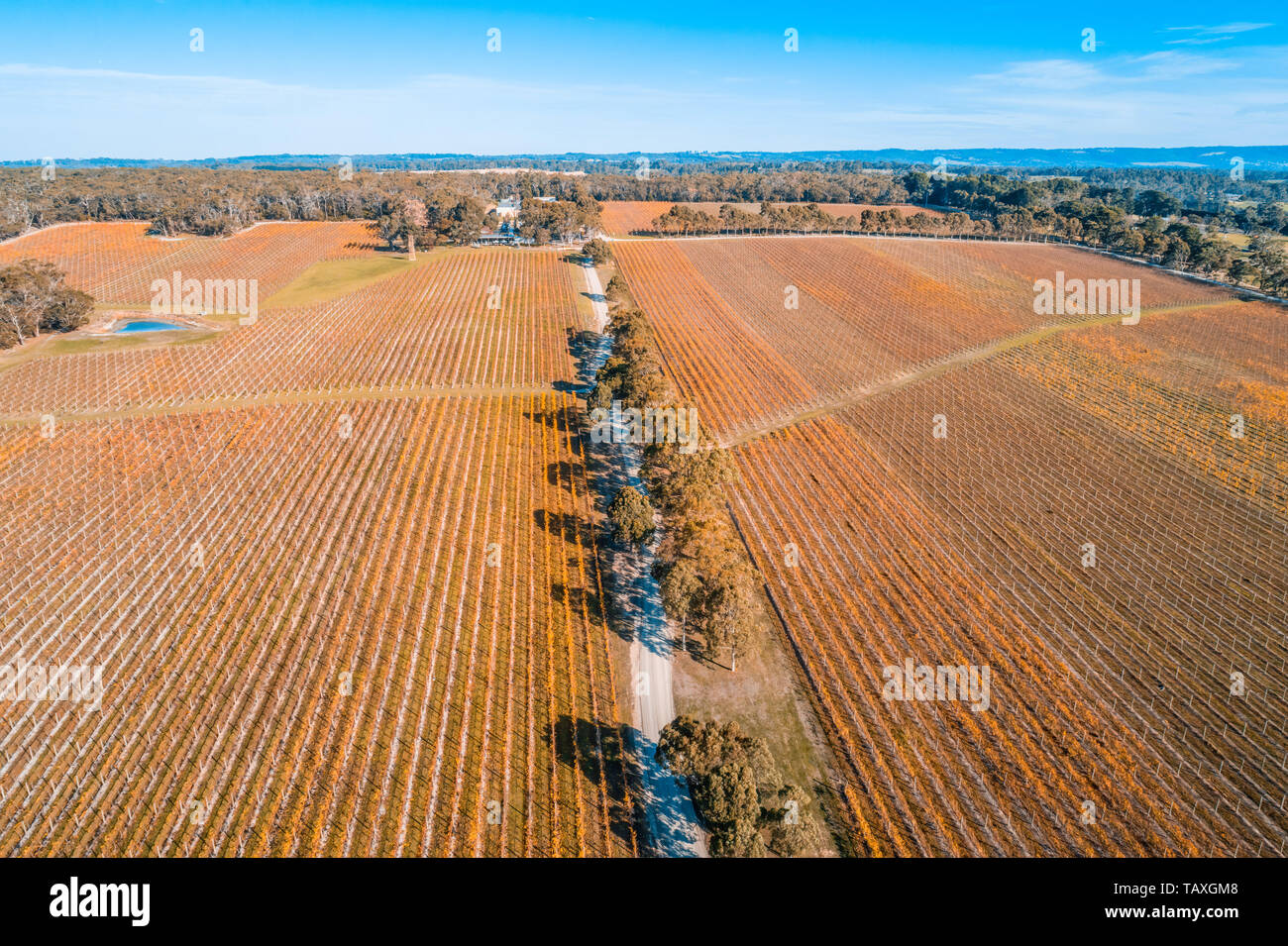 Mornington peninsula vineyard hi-res stock photography and images - Alamy