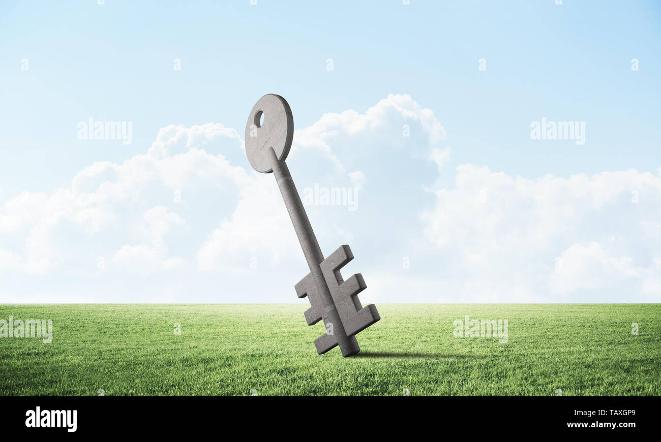 Big house key on green field Stock Photo - Alamy