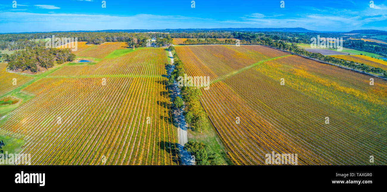 Gravel road passing through scenic winery in autumn. Mornington ...