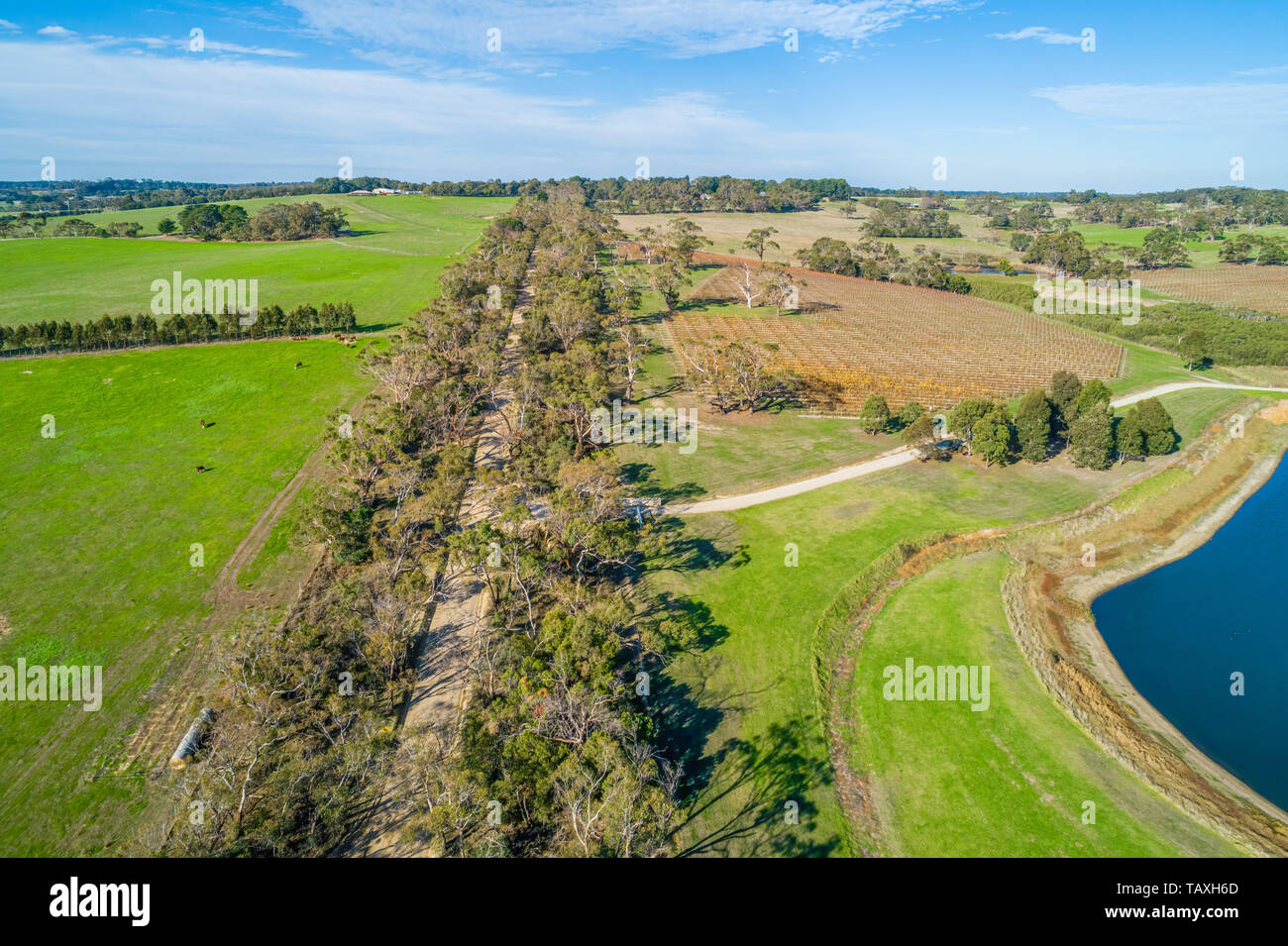 Mornington peninsula, australia autumn hi-res stock photography and ...