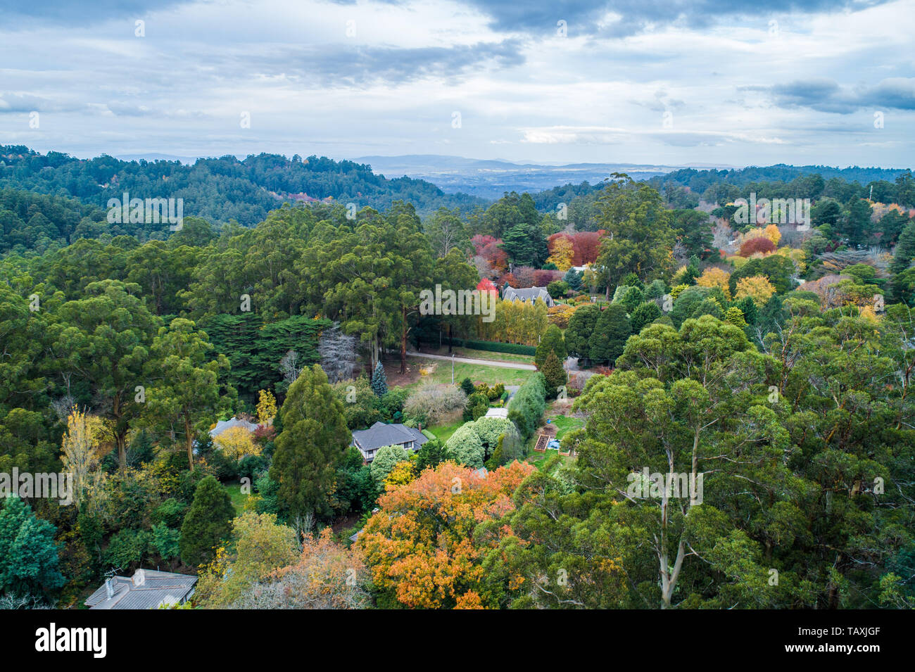Dandenong mountains australia hi-res stock photography and images - Alamy