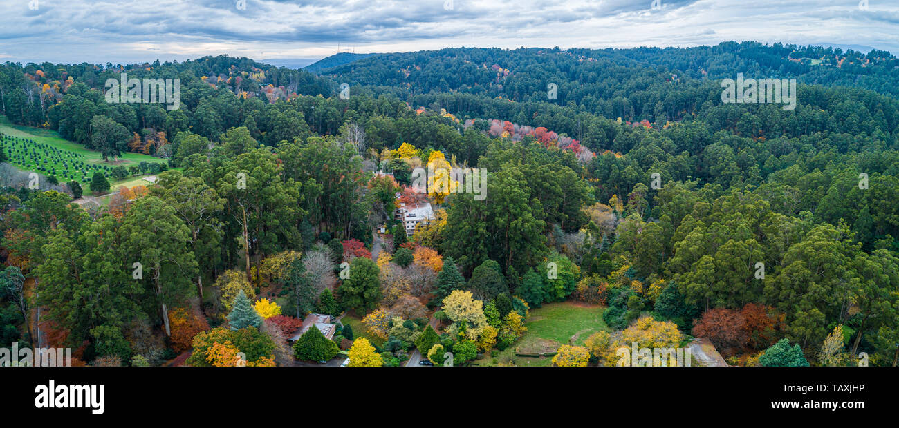Dandenong ranges hi-res stock photography and images - Alamy