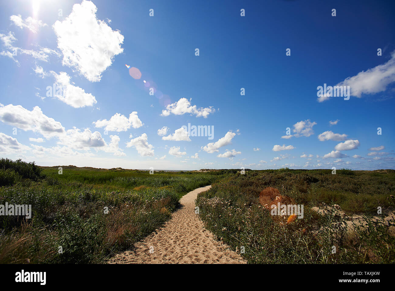Mother and daughter walking by a beach hi-res stock photography and ...