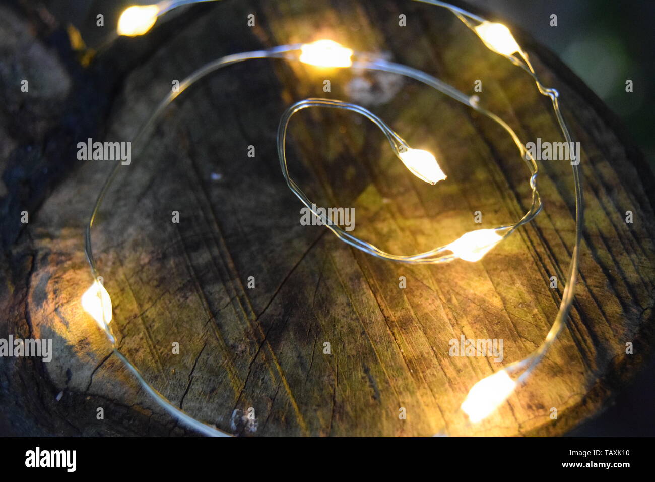 a concurrent theme runs through them of little lights shaping the image ...