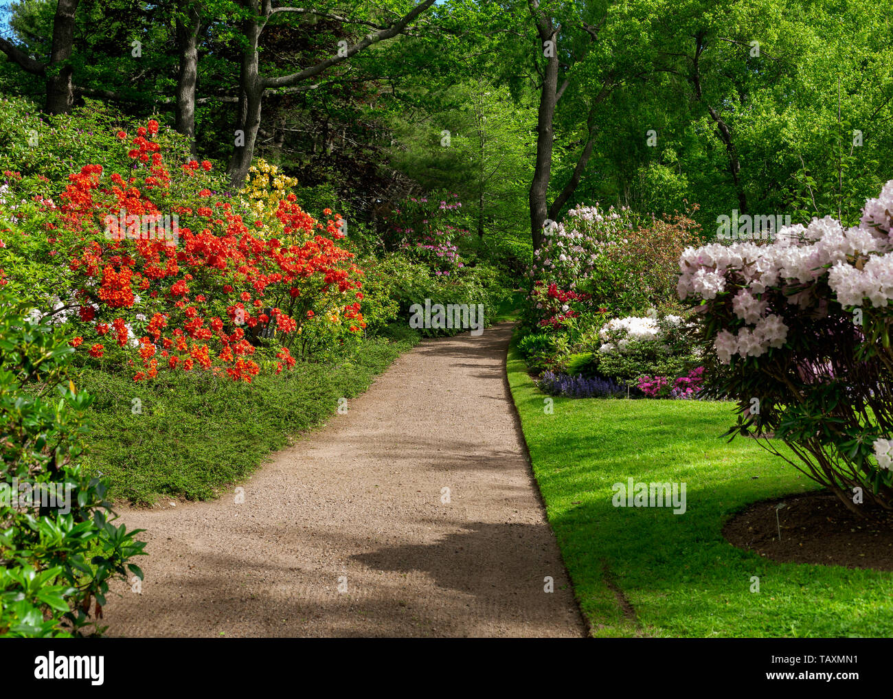 Garden path tree walkway hi-res stock photography and images - Alamy