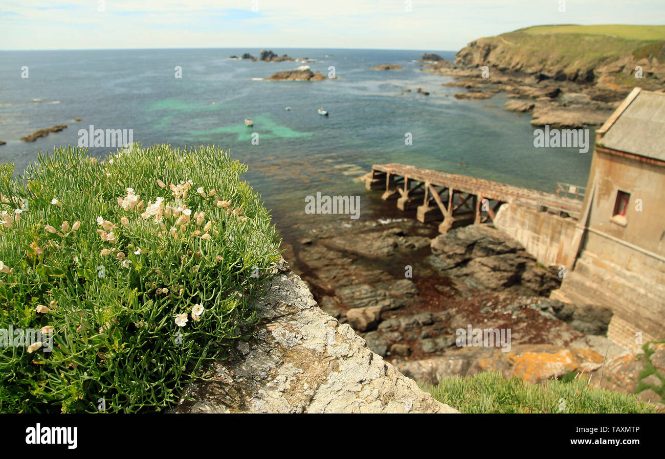 Lizard Point, Cornwall, UK Stock Photo - Alamy