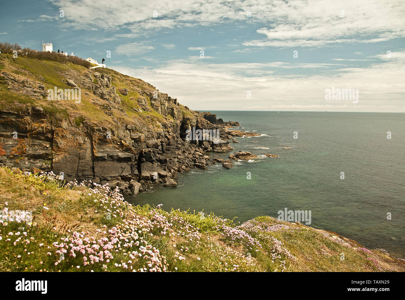 Lizard Point, Cornwall, UK Stock Photo - Alamy