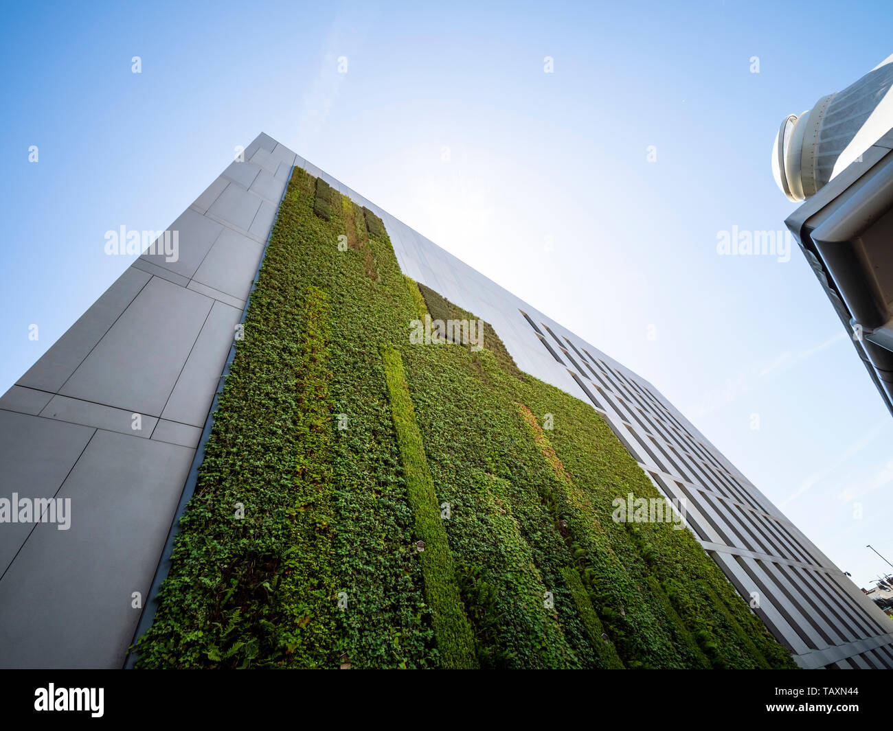 Living Wall, on the rear of The Core office building in Blue Star ...
