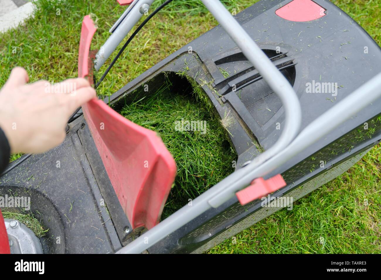 Close mowed hi-res stock photography and images - Alamy