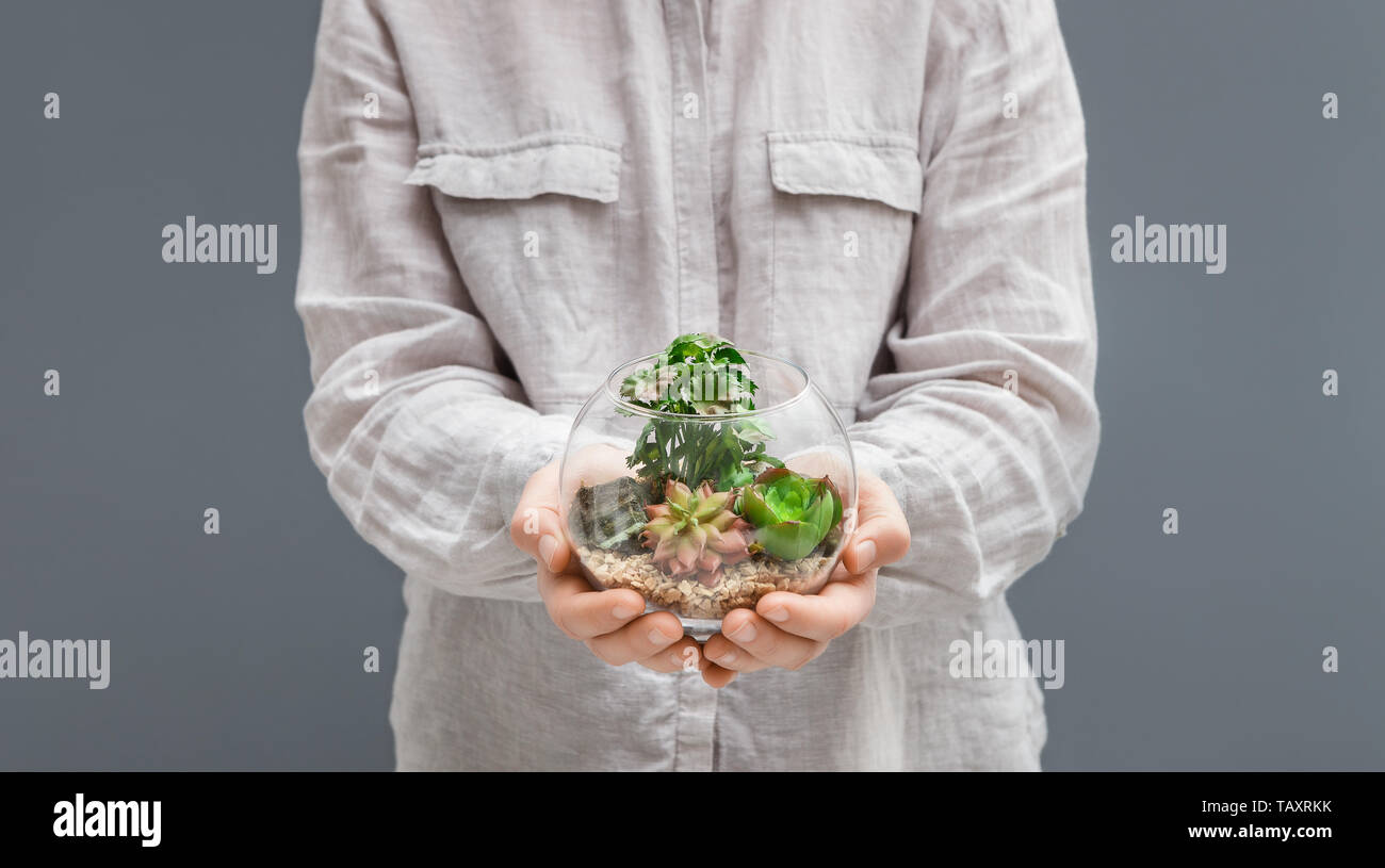 Female holding mini cactus hi-res stock photography and images - Alamy