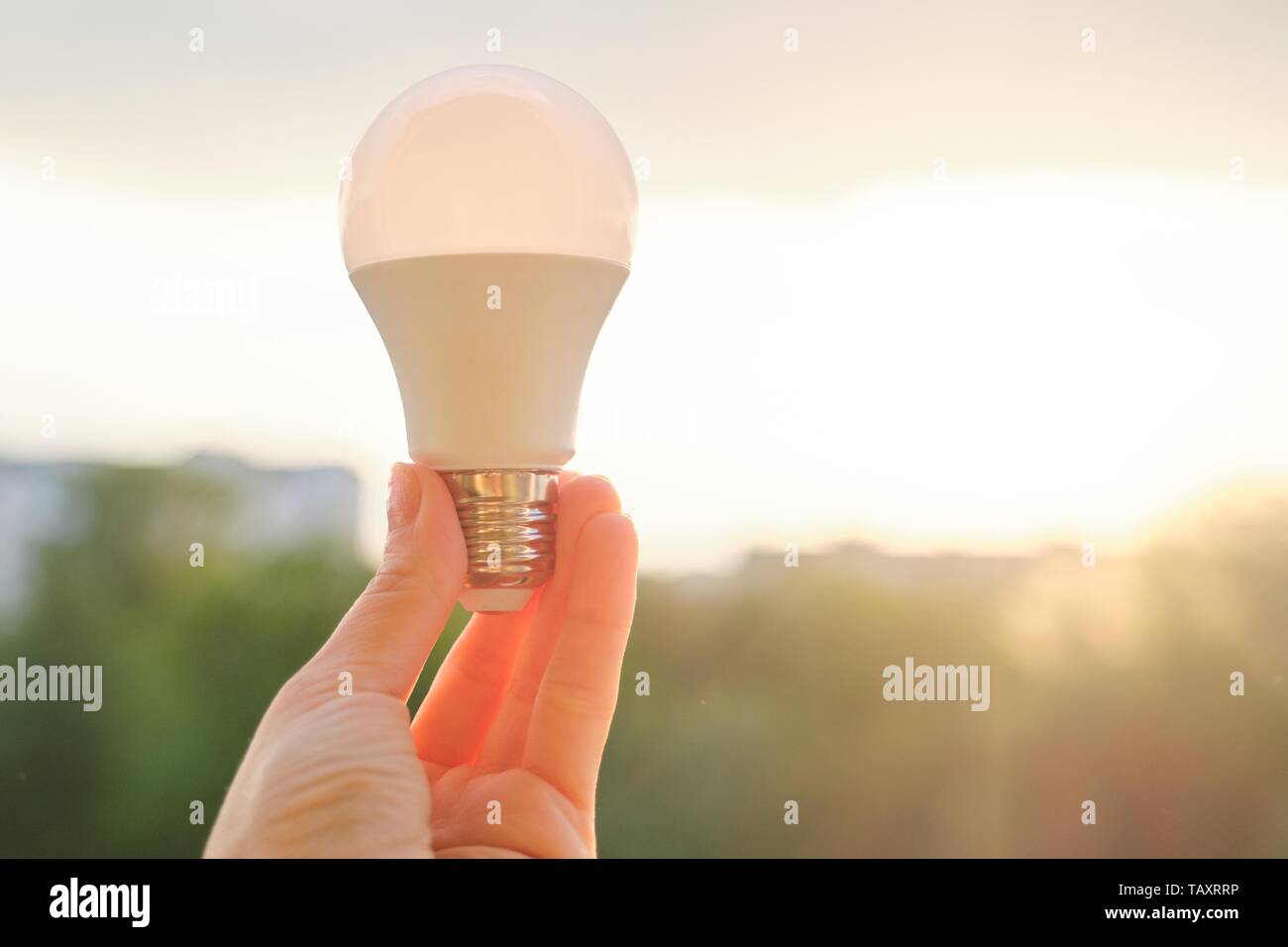 Led bulb, hand holding lamp, evening sunset sky background Stock Photo ...