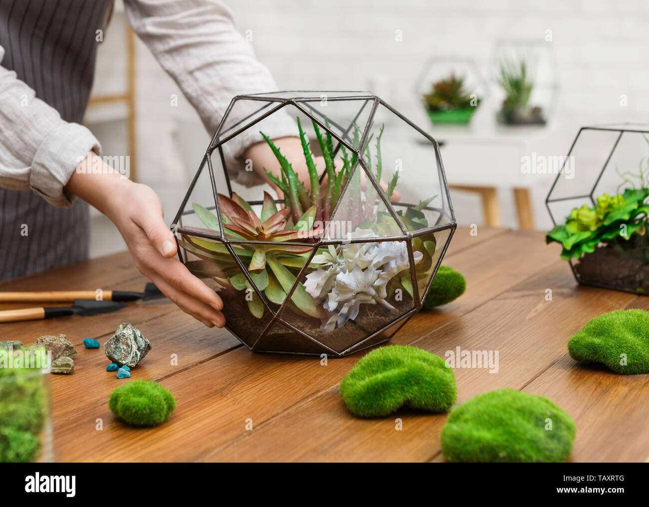 Make your home garden concept Stock Photo - Alamy