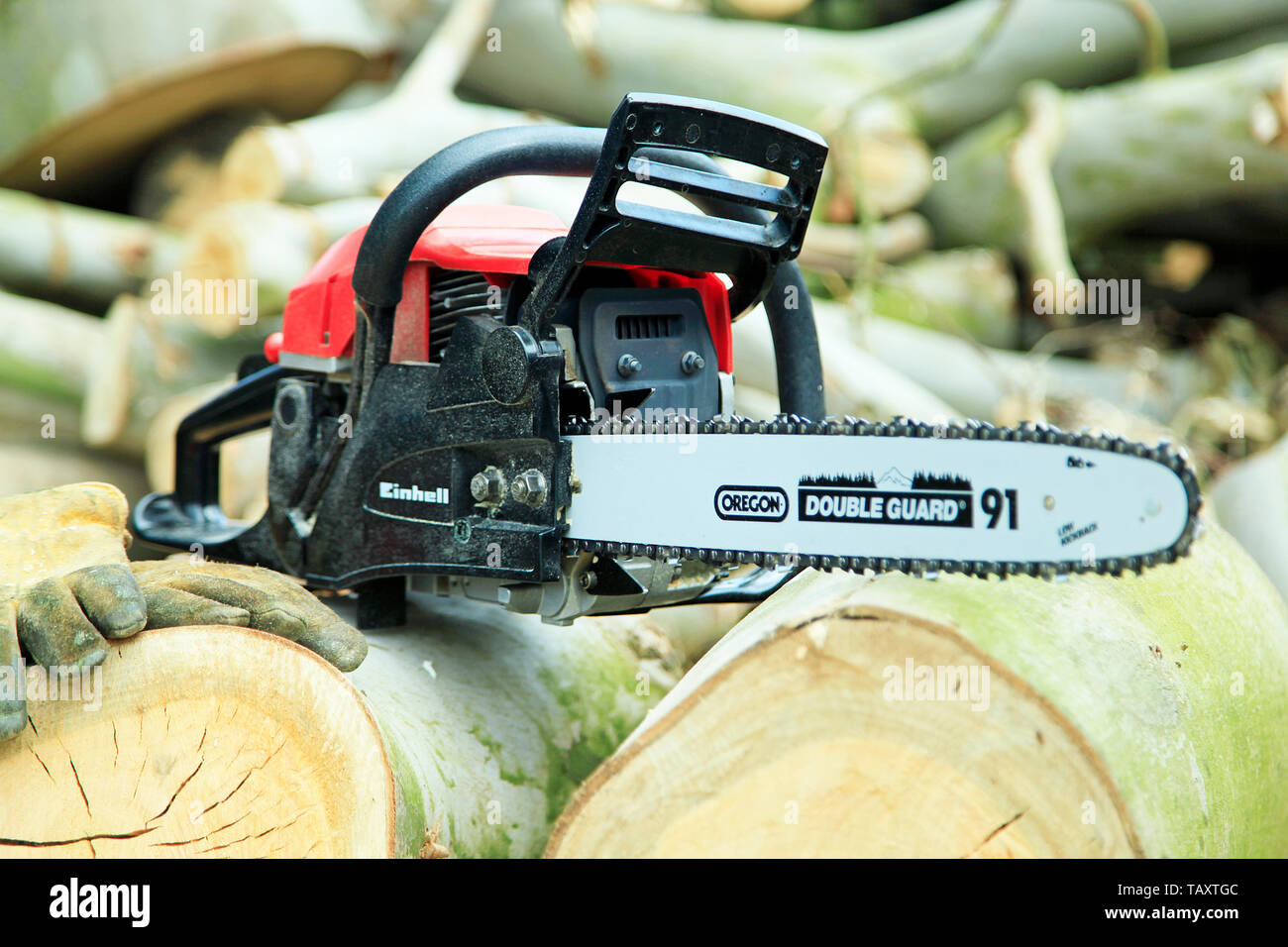 Chain saw and wood Stock Photo - Alamy