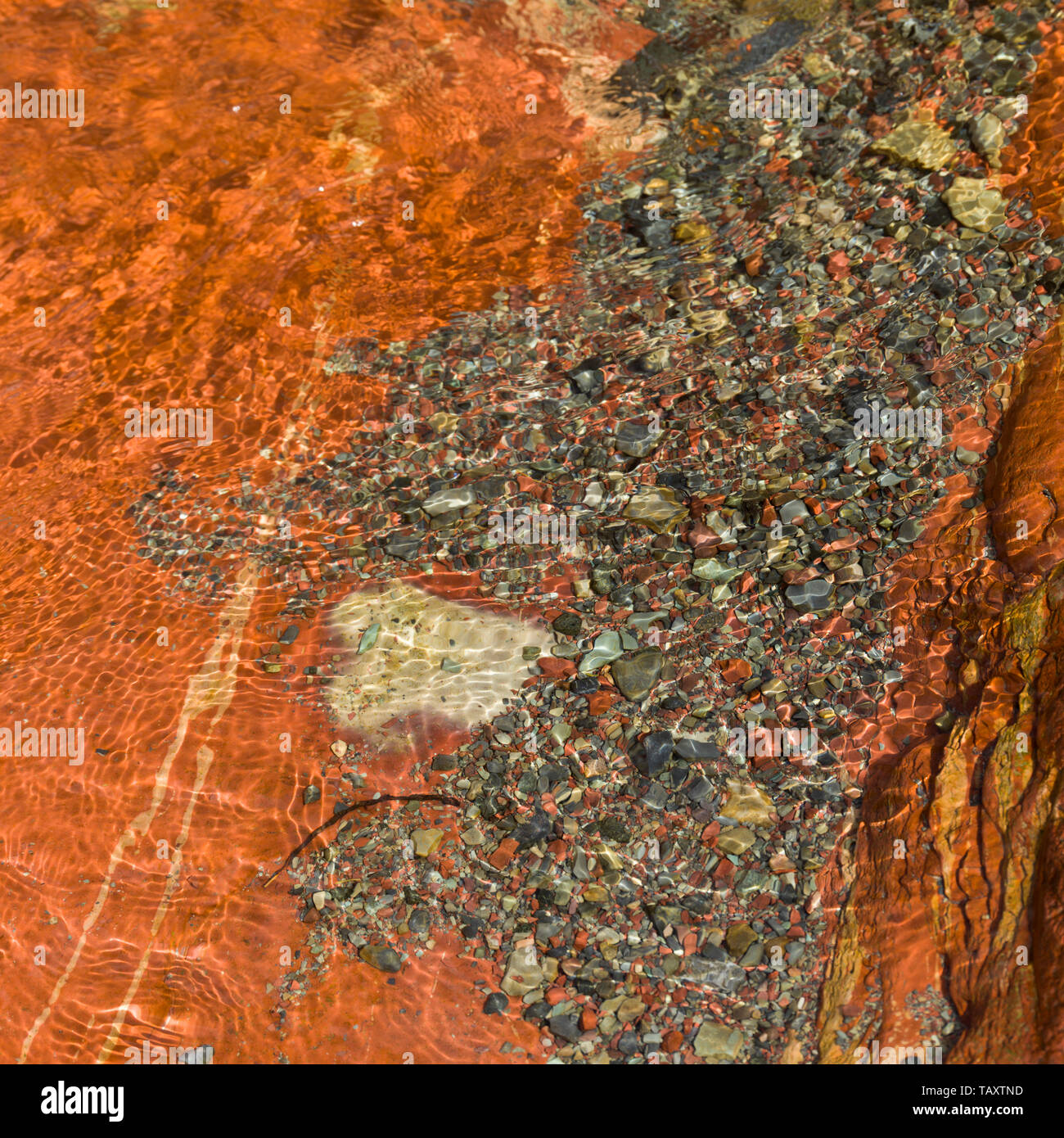 Water flowing through rocks, Red Rock Canyon Parkway, Waterton Lakes ...