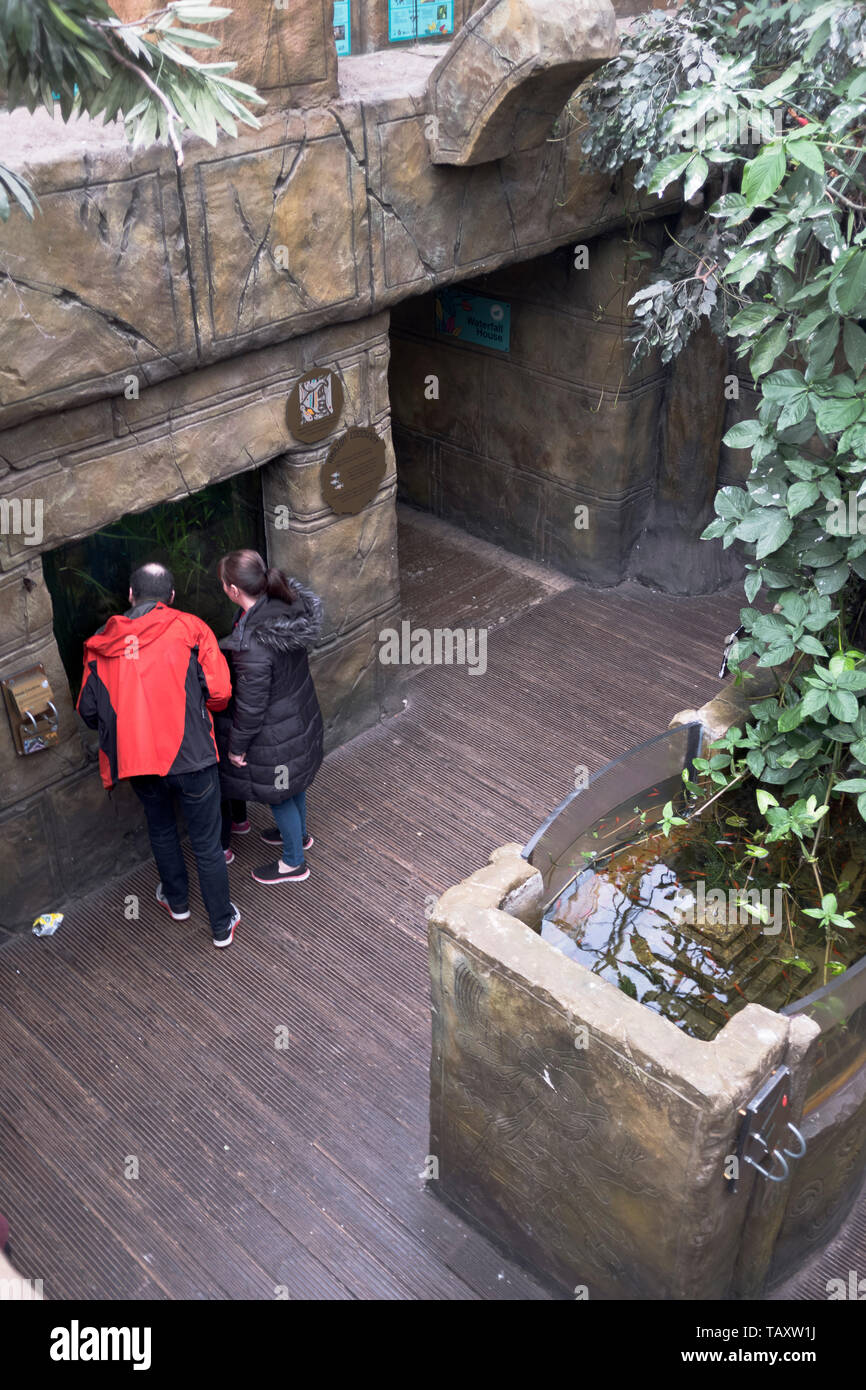 dh Tropical World ROUNDHAY PARK LEEDS People looking at exhibit Stock ...