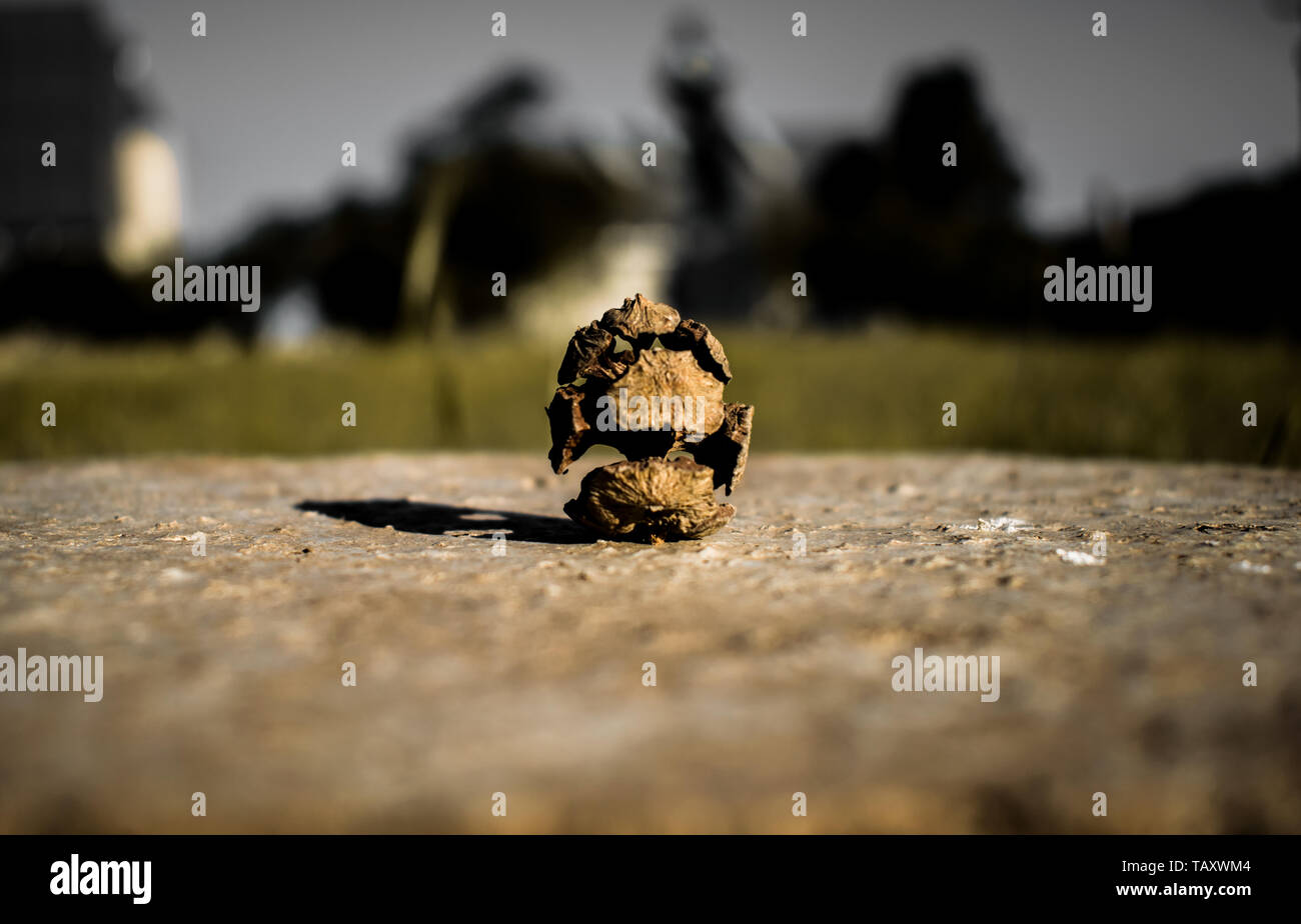 Mundo seco hi-res stock photography and images - Alamy