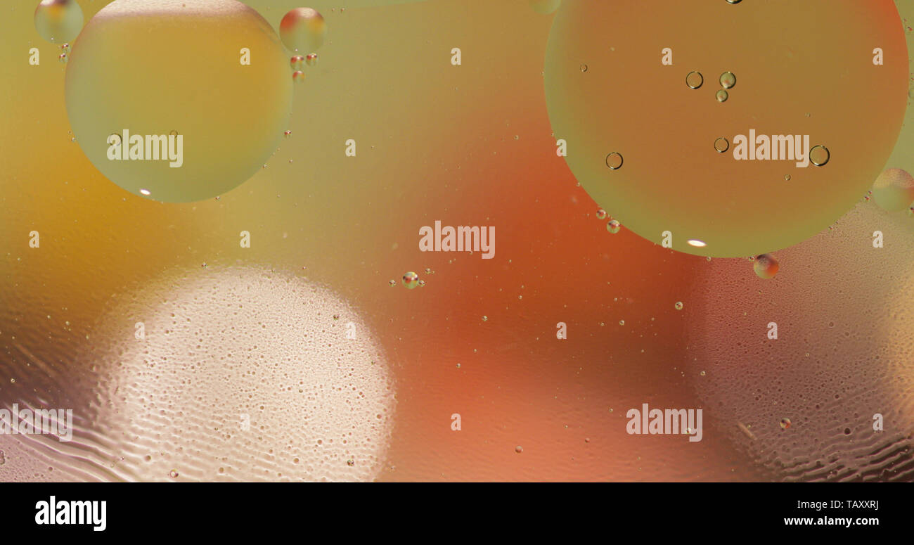 Fantastic structure of colorful bubbles. Abstract colorful paint. Top ...