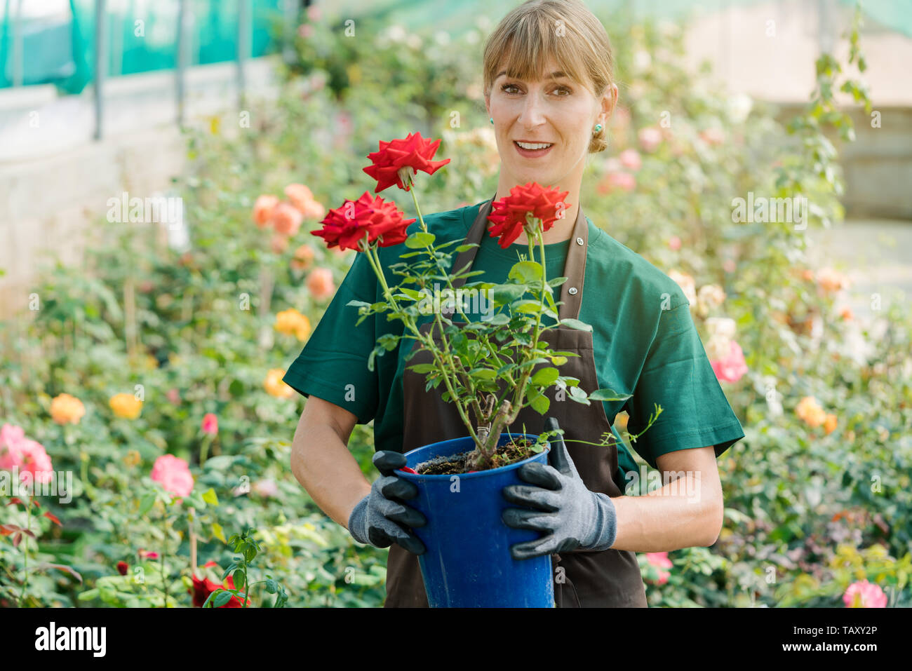 Woman florist gardener working hi-res stock photography and images - Alamy