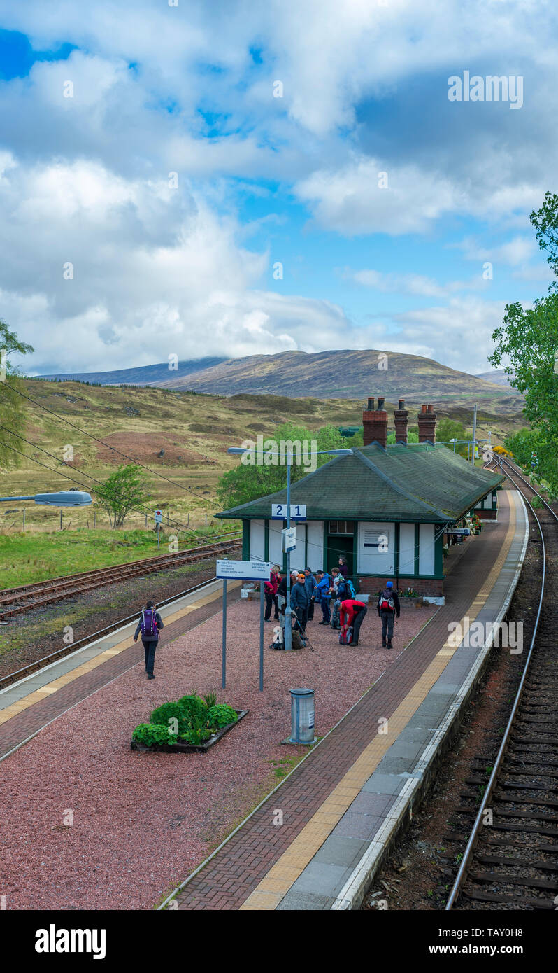 Train Rannoch Station High Resolution Stock Photography and Images - Alamy