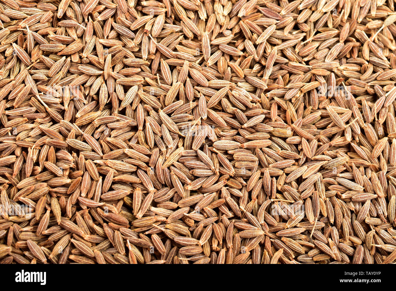 Small cumin seeds hi-res stock photography and images - Alamy
