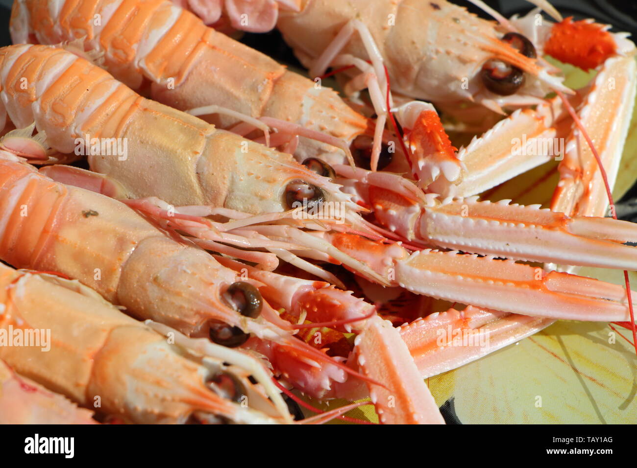 Cooked nephrops on a plate for dinner Stock Photo - Alamy